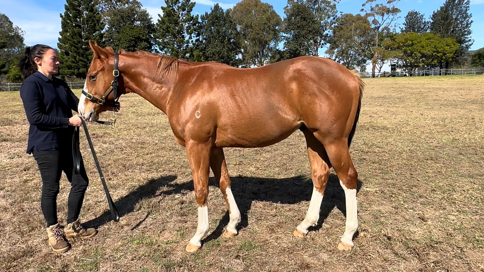 Champagne cuddles x justify on Vimeo