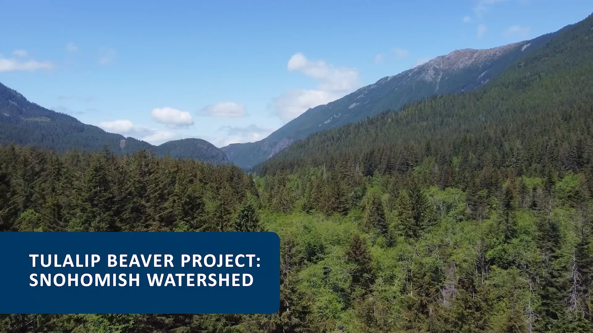 WA DNR Forest Projects - FINAL