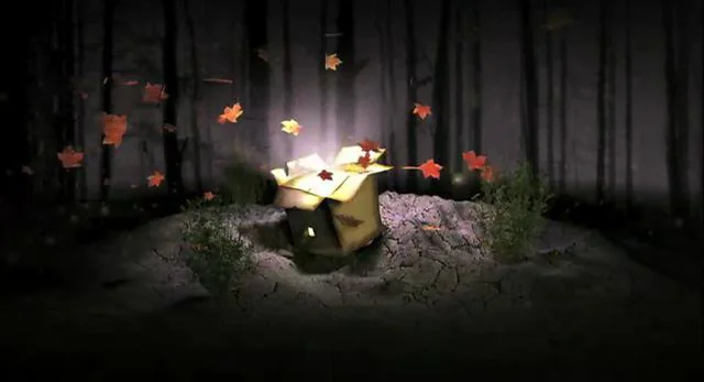 Forest on Vimeo