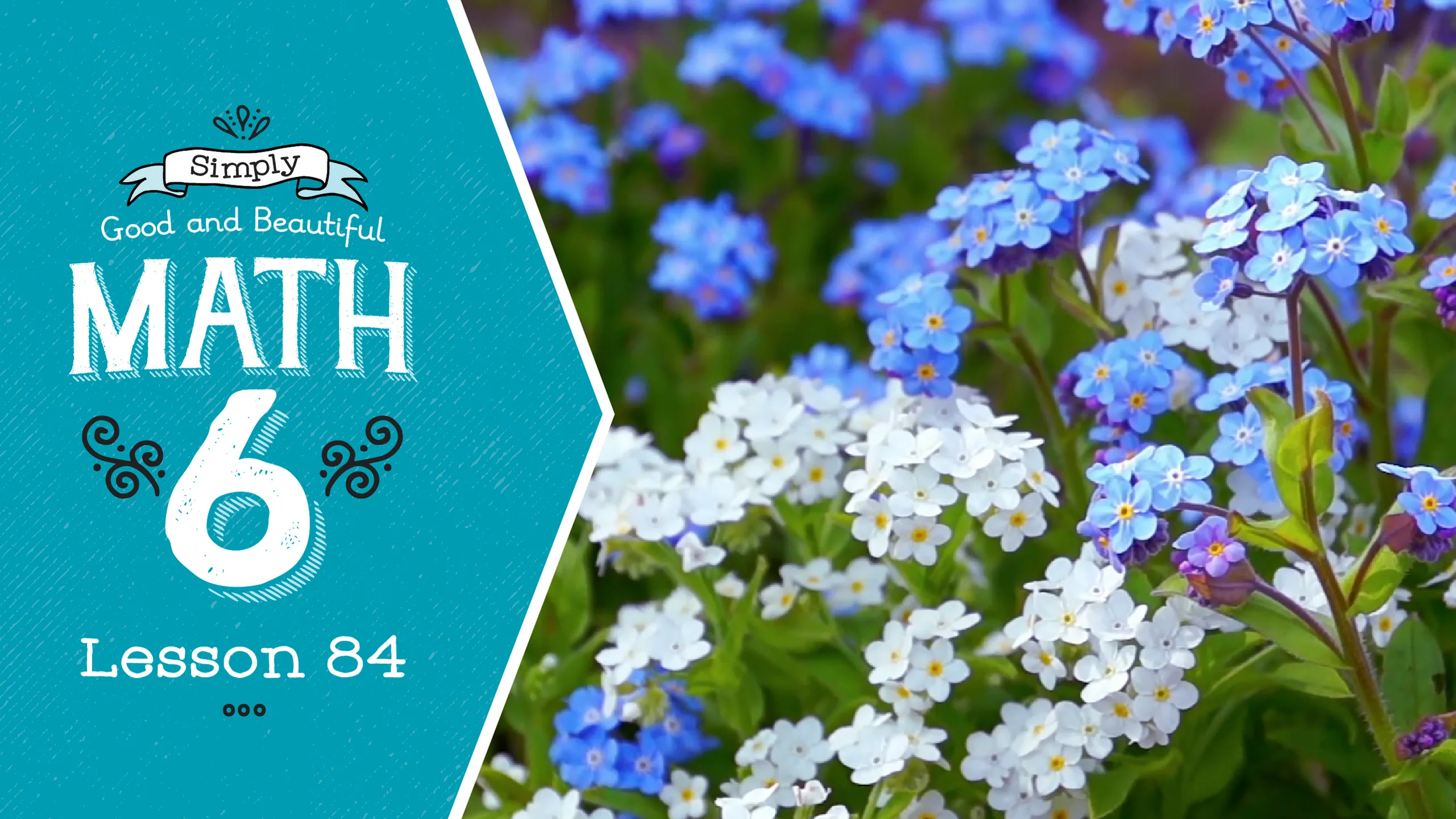 Lesson 84 | Simply Good and Beautiful Math 6