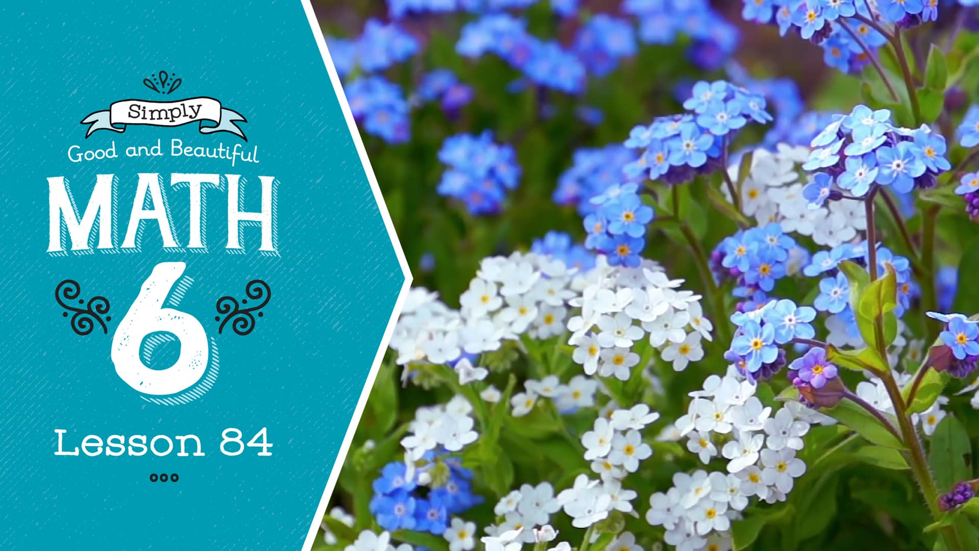 Lesson 84 | Simply Good and Beautiful Math 6 on Vimeo