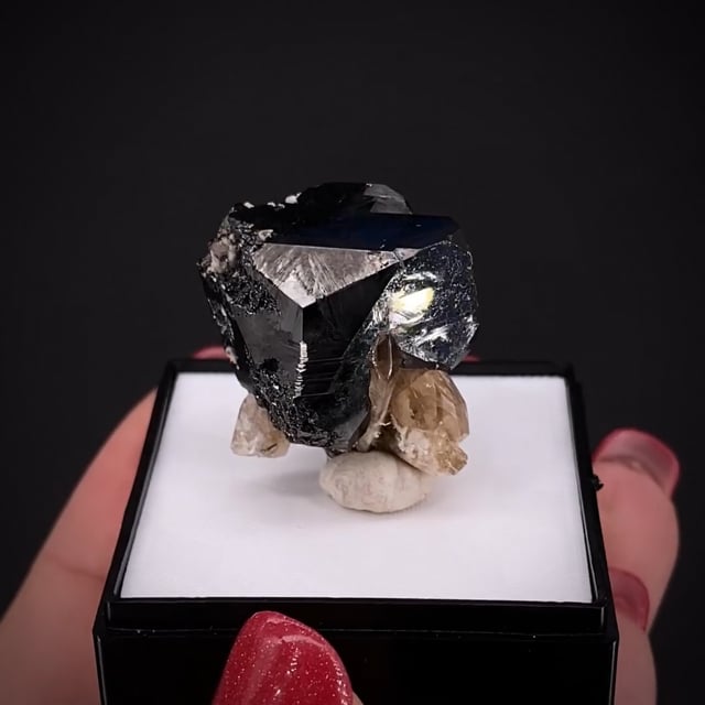 Bixbyite on Topaz - MTN23-25 - Thomas Range - USA Mineral Specimen