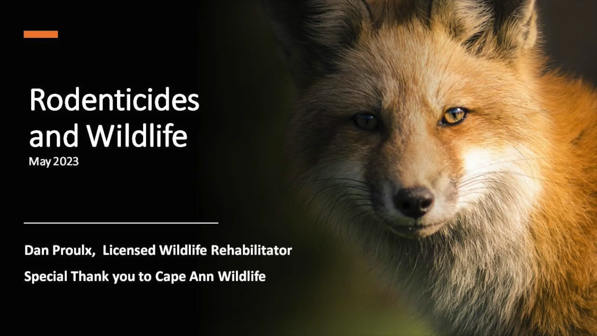 Rodenticides and Wildlife with Dan Proulx on Vimeo
