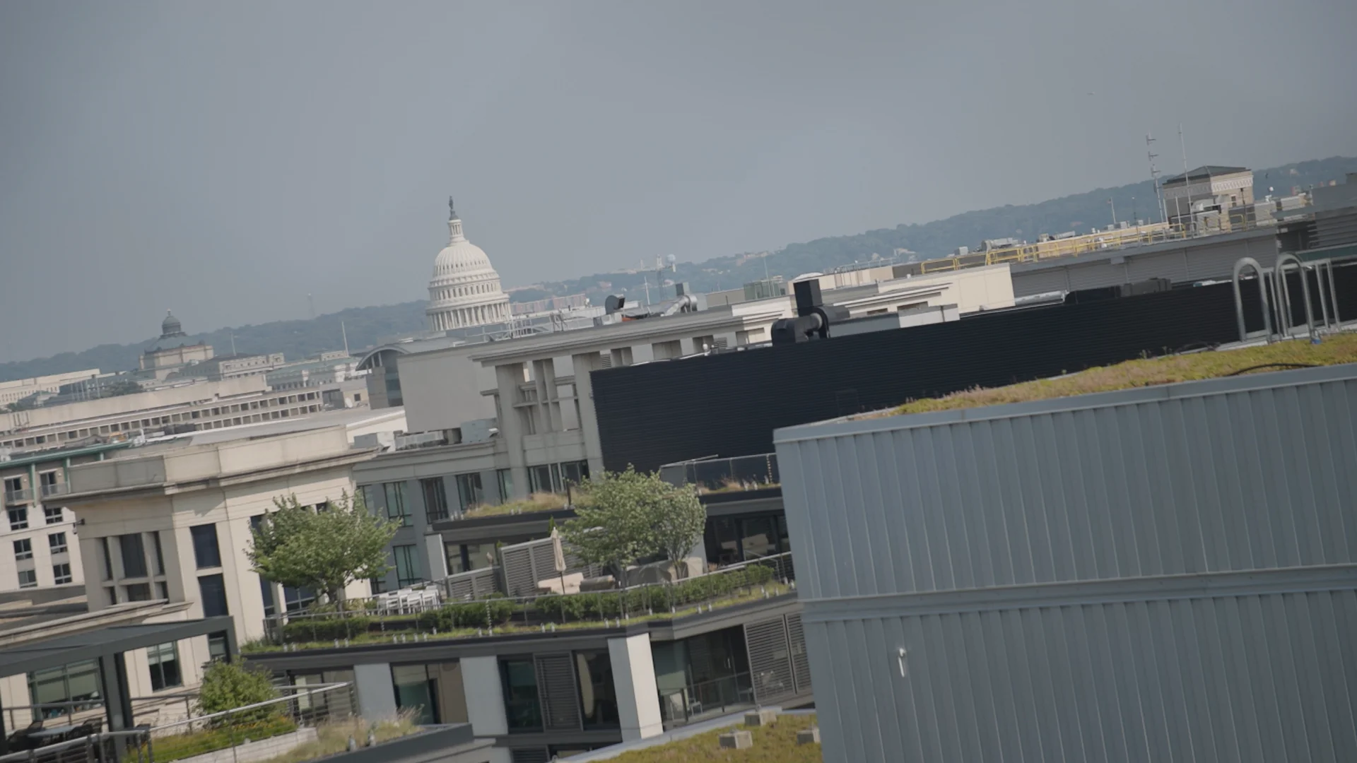 Sakura Club - ROUGH DRAFT on Vimeo