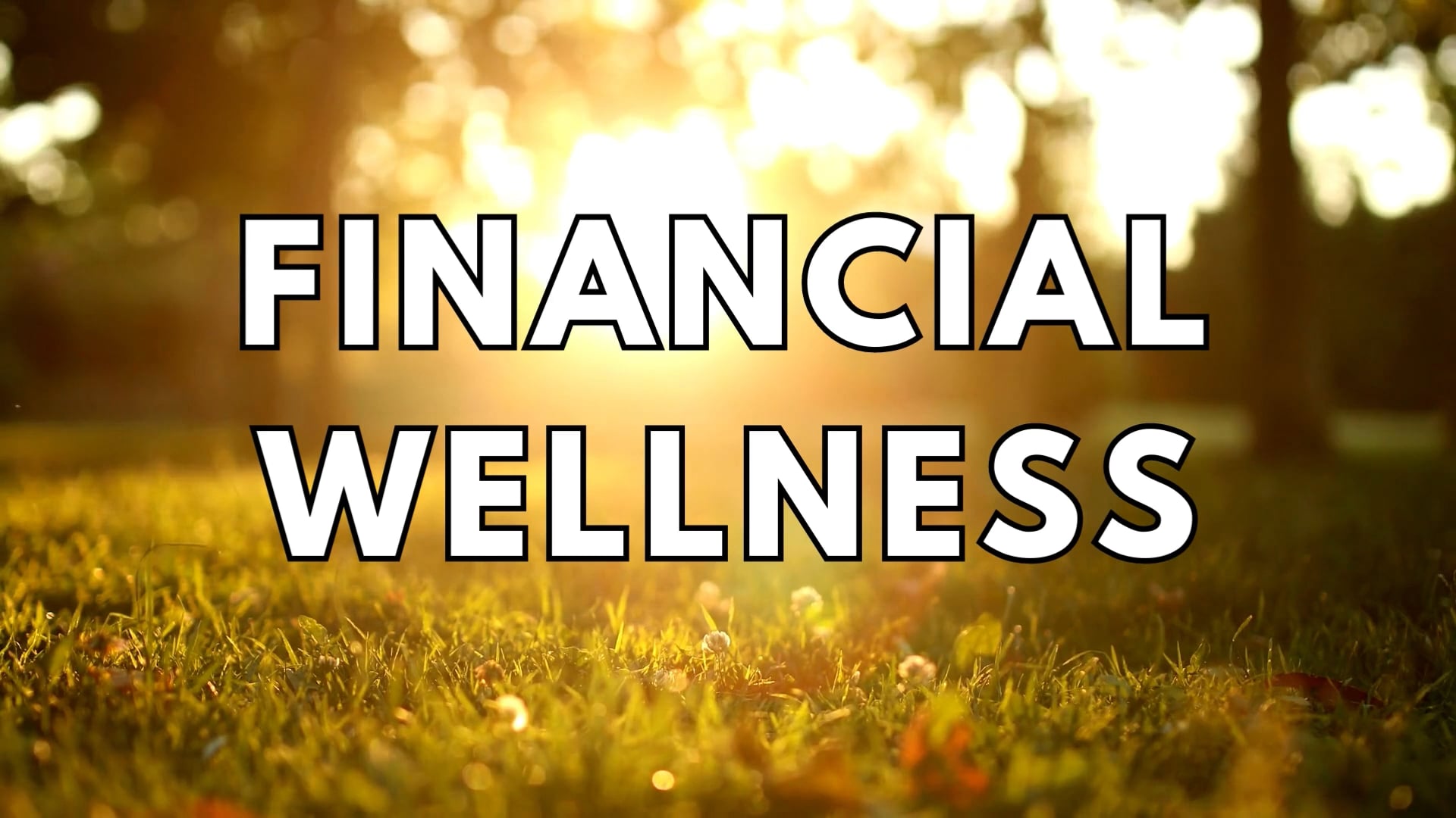 Financial Wellness 101 on Vimeo