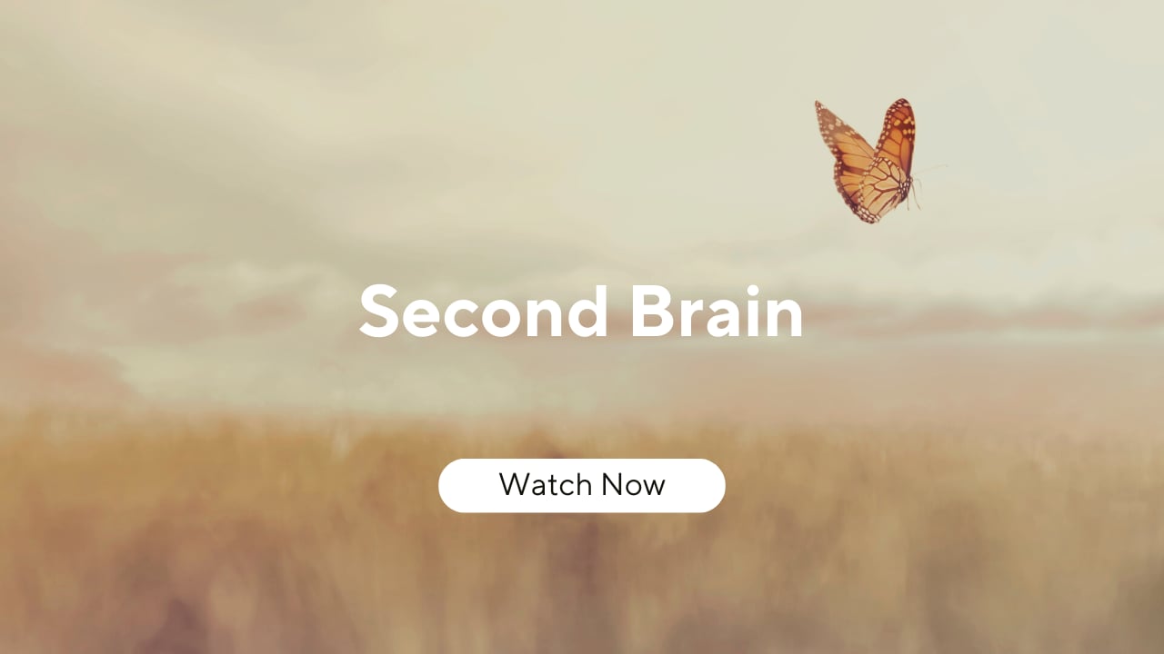 Second Brain on Vimeo