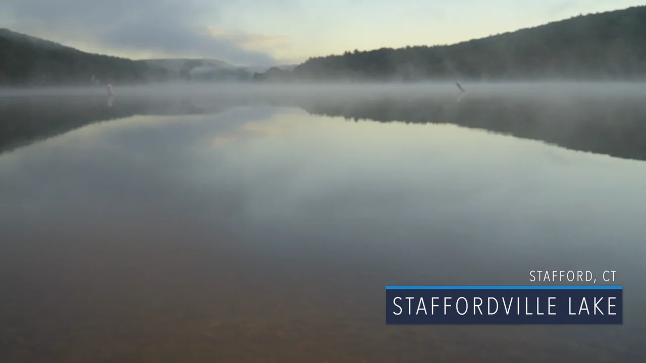 Lake & Pond Heroes – Staffordville Lake
