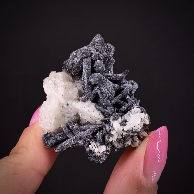 Galena ps. Pyromorphite (circa mid-1800s) - LTM23-35 - Wheal Hope - UK ...