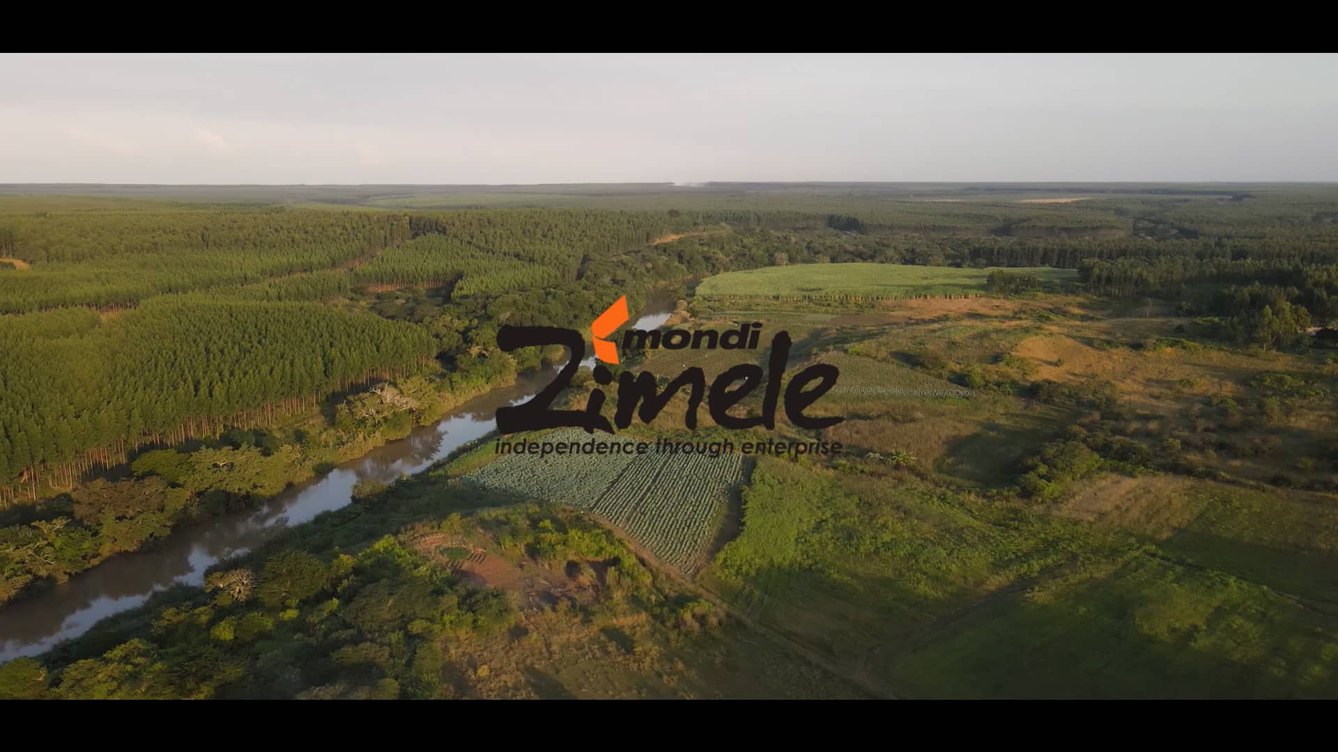 Mondi Zimele Agriculture SMME on Vimeo
