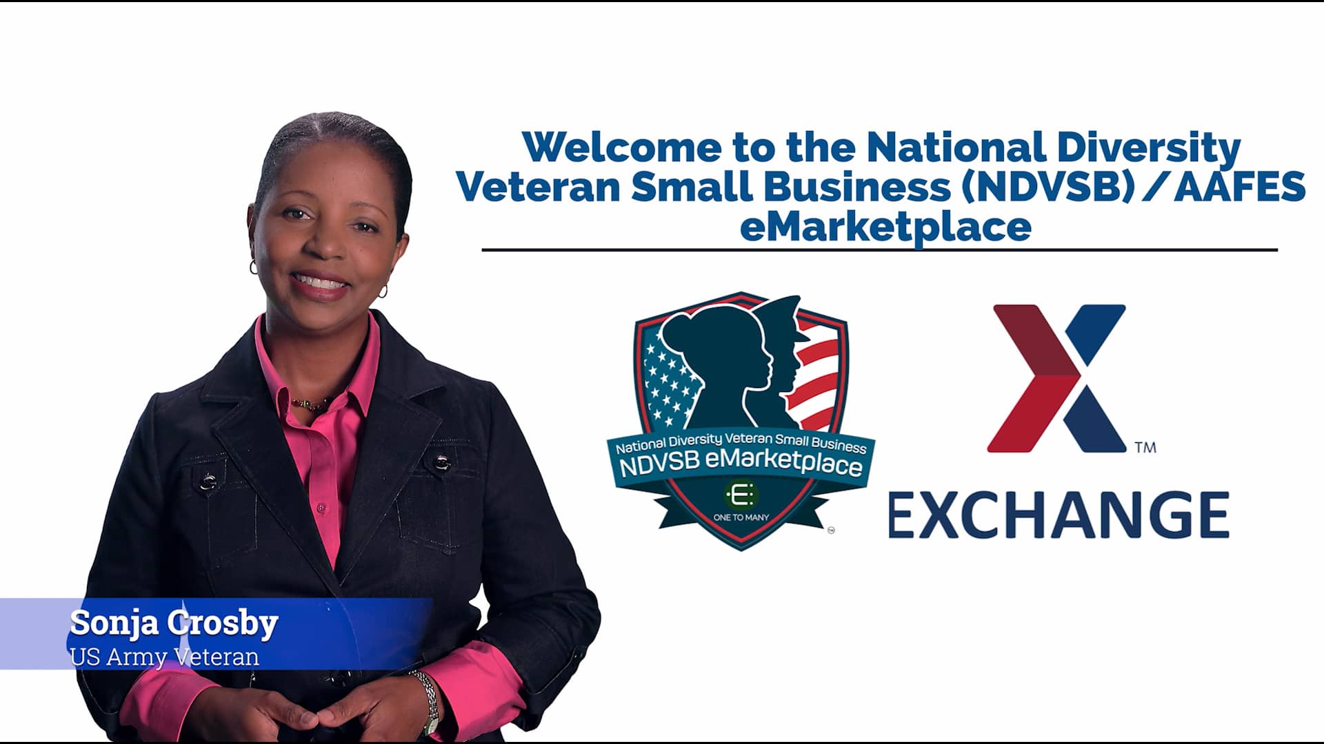 Welcome to the NDVSB/AAFES eMarketplace, presented by David Saroli, CEO, NDVSB on Vimeo
