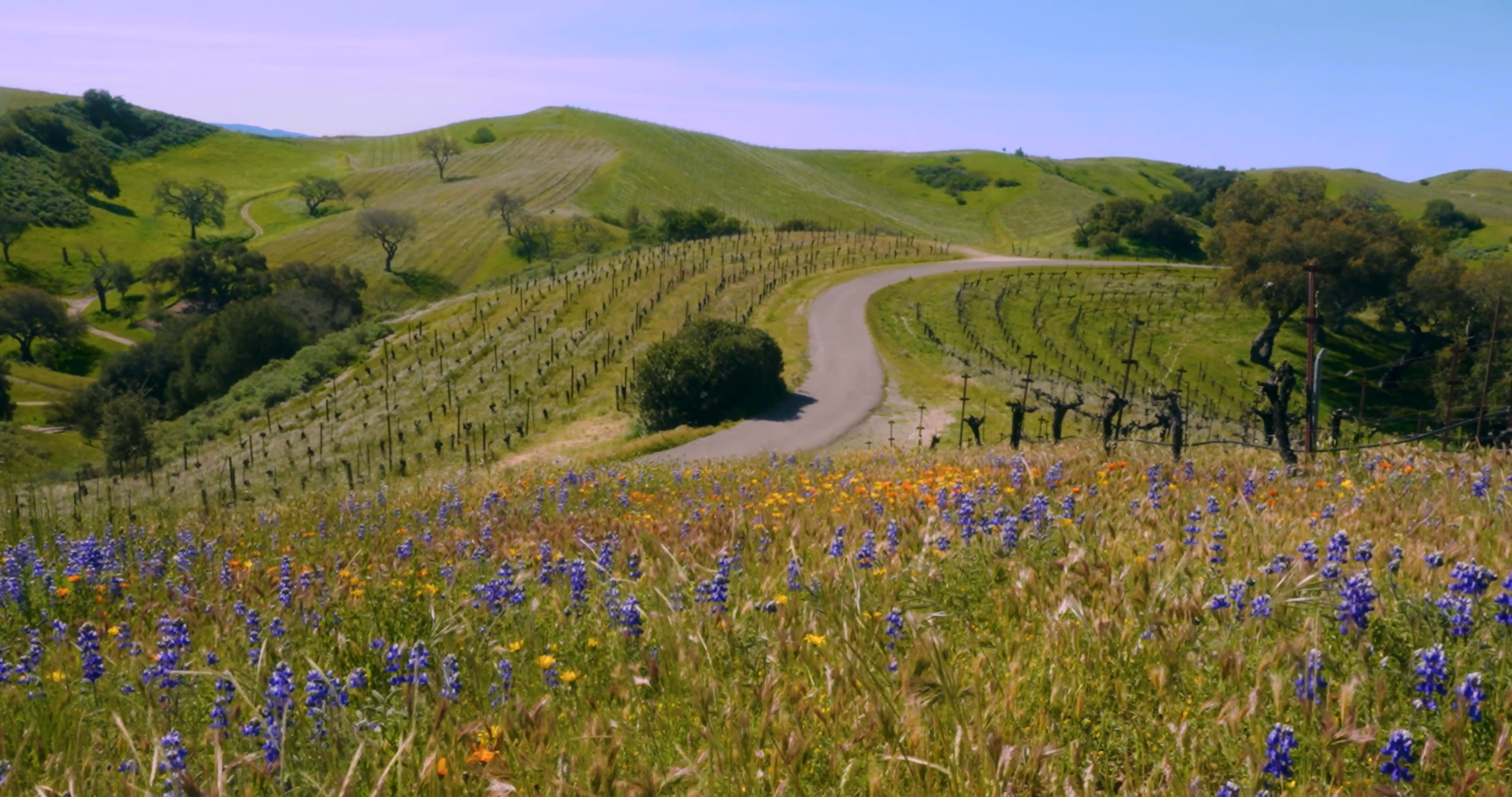 Landing Page on Vimeo