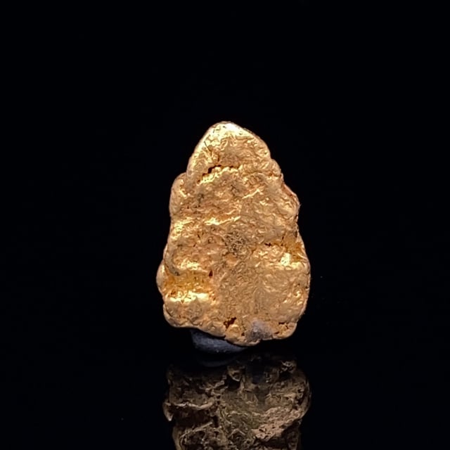 Gold (RARE locality specimen) | Offin River, near the town of Dunkwa ...