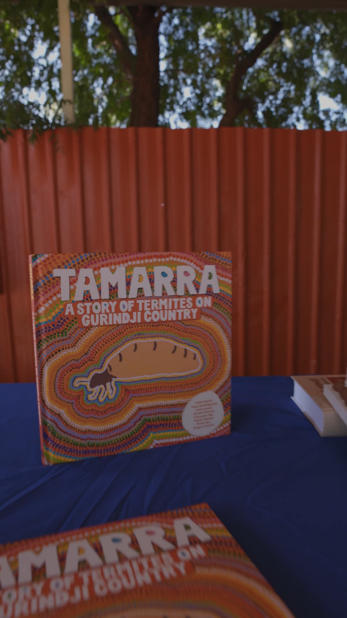 'Tamarra' book launch at Kalkaringi on Vimeo