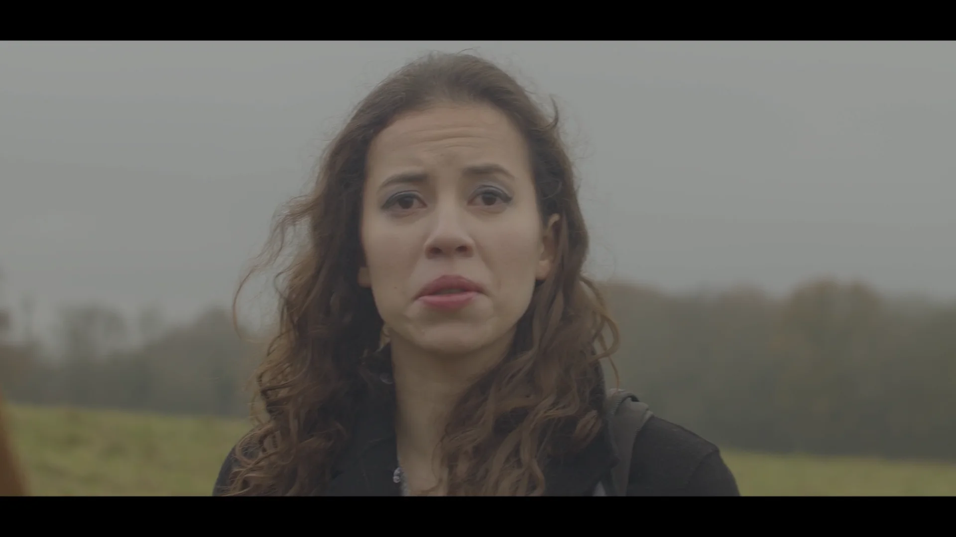 Fly Away To The Emerald Isle Trailer- Wendy-Anne Daloz-Maximillian ...