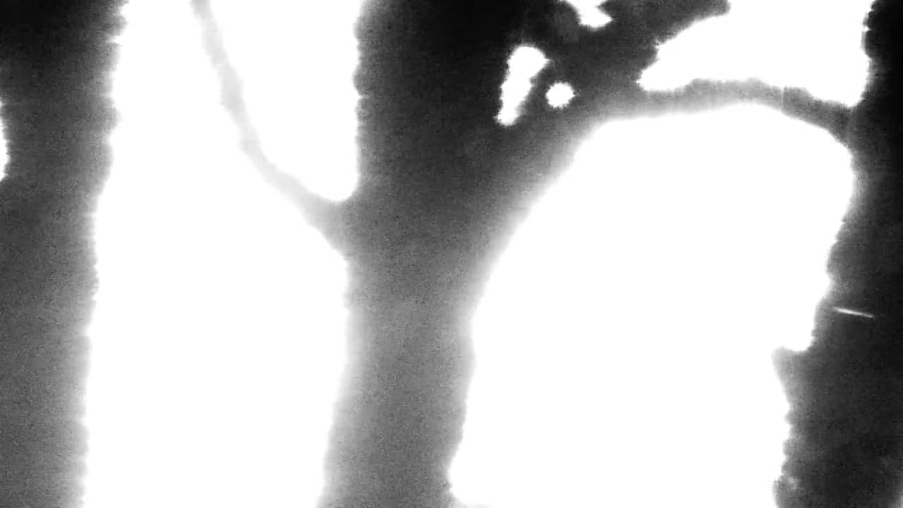 Liquid Light on Vimeo