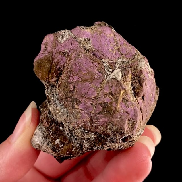 Purpurite with Heterosite (rare locality) | Crystal Mountain Pegmatite ...