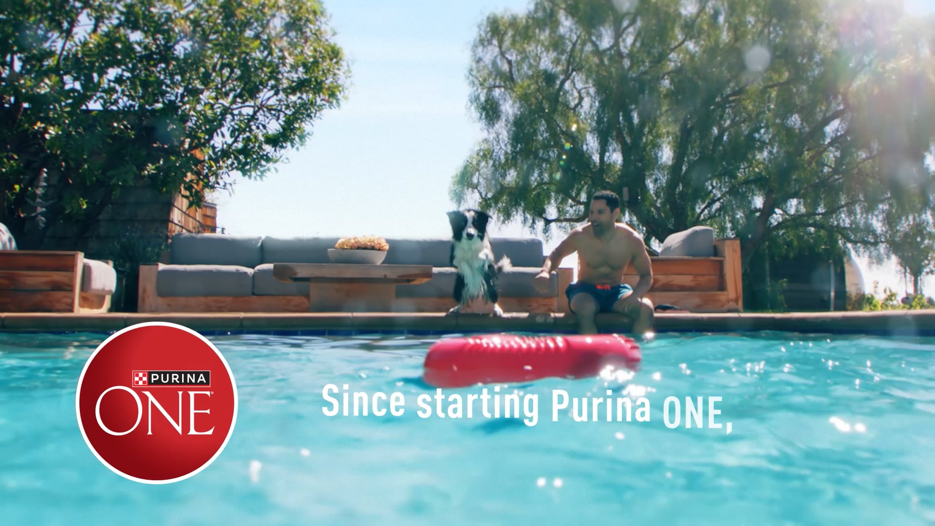 PURINA ONE | :15 Paid Media on Vimeo