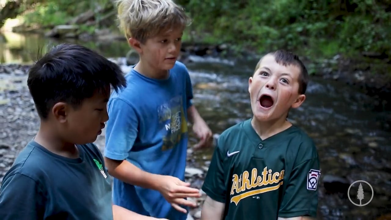 2023 Redwood Camp Week 2 Highlight on Vimeo