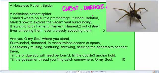 A Noiseless Patient Spider Walt Whitman English 11 2 on Vimeo