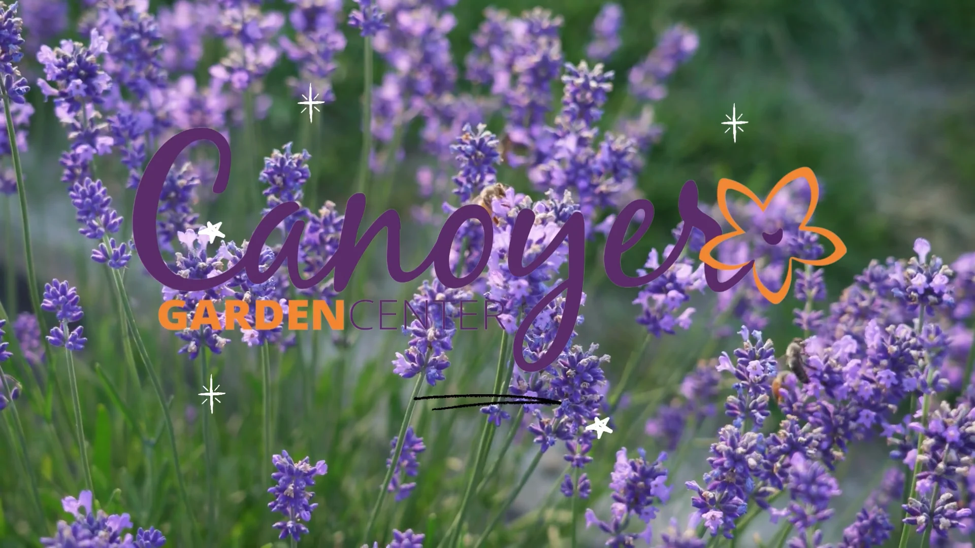 Canoyer Garden Center Website Logo - Winter