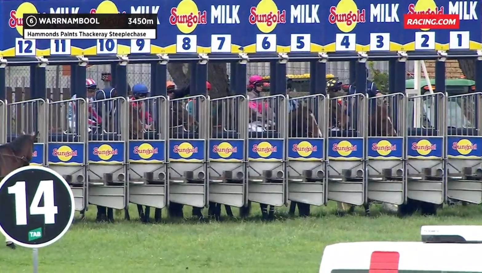 Winning Replay: Mighty Oasis (GB), Thackery Steeplechase 3450m ...