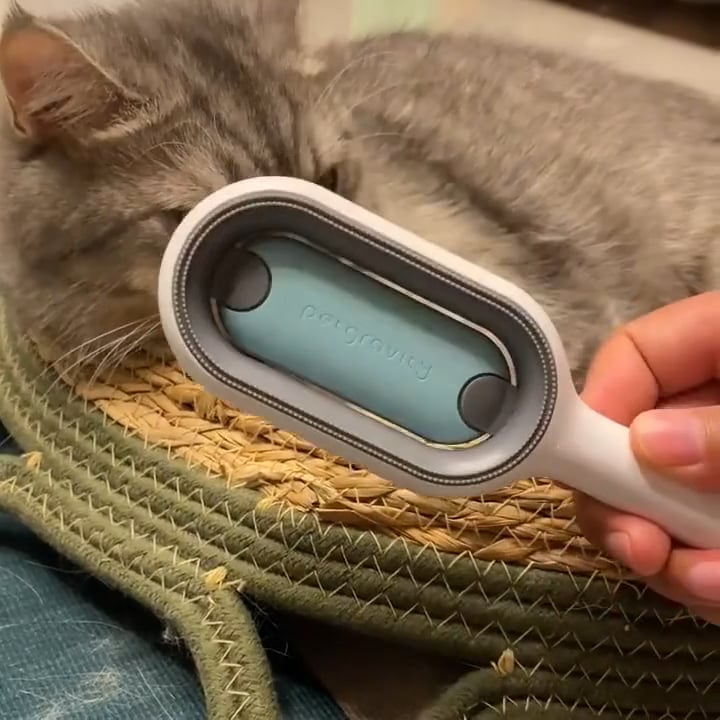 Fuzz Fix - Double Sided Pet Brush on Vimeo