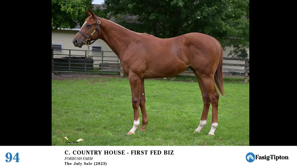2023 Fasig-Tipton July Sale: Hip #94 Country House x First Fed Biz '22 ...