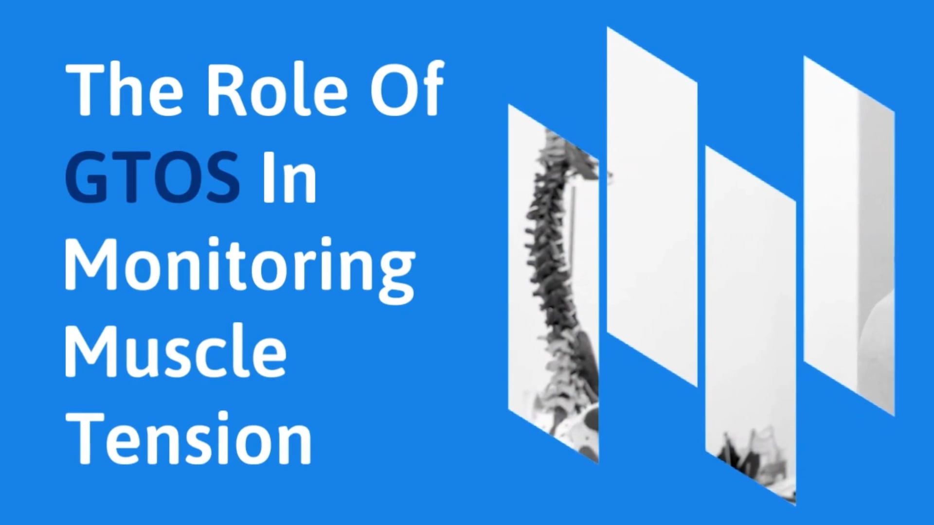 The Roles of GTO's in Monitoring Muscle Tension on Vimeo