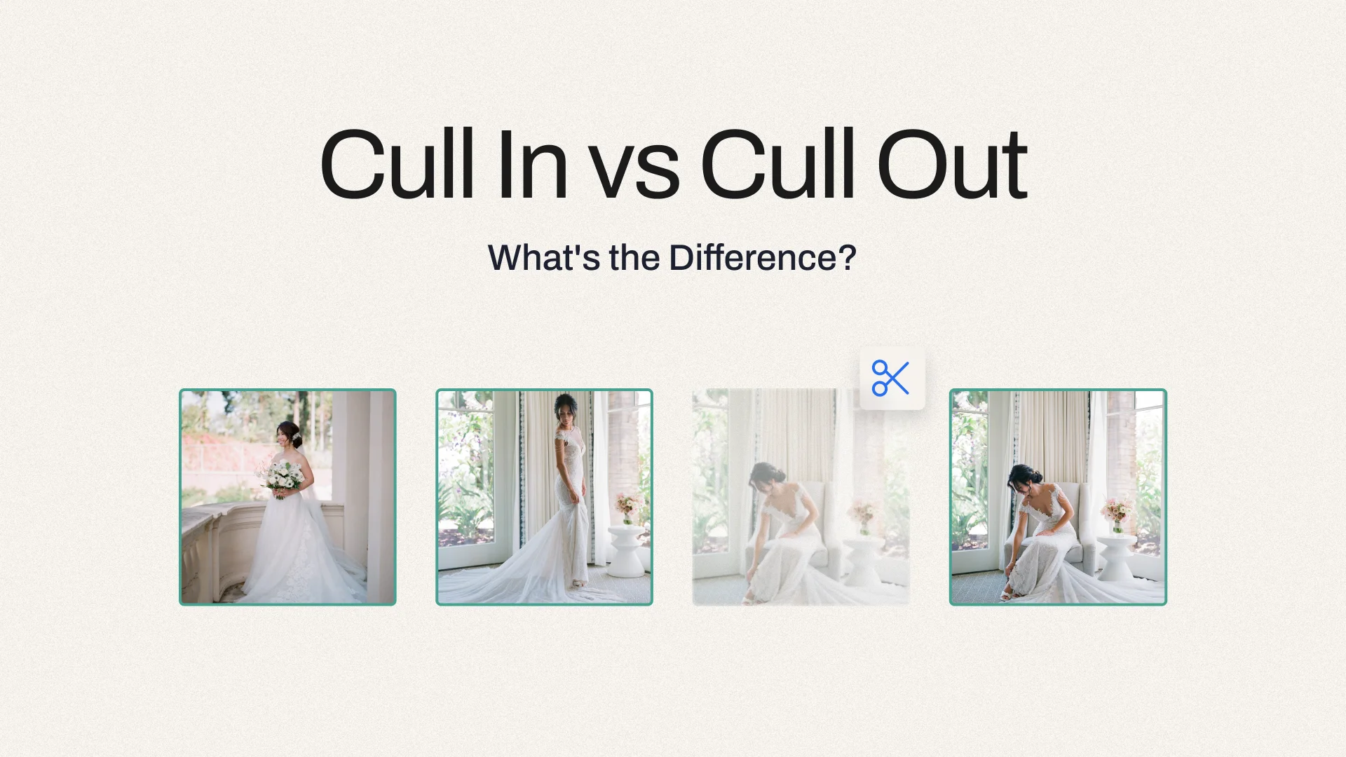 Cull In vs Cull Out – What’s the Difference? Do Both with Aftershoot ...