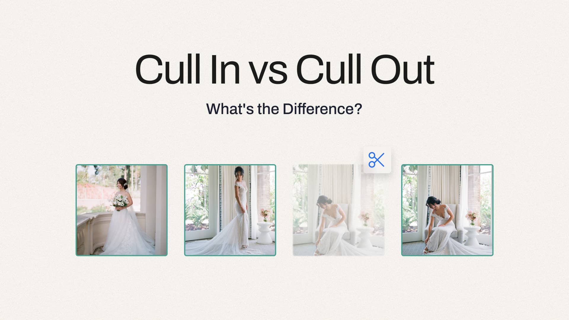 Cull In vs Cull Out – What’s the Difference? Do Both with Aftershoot ...
