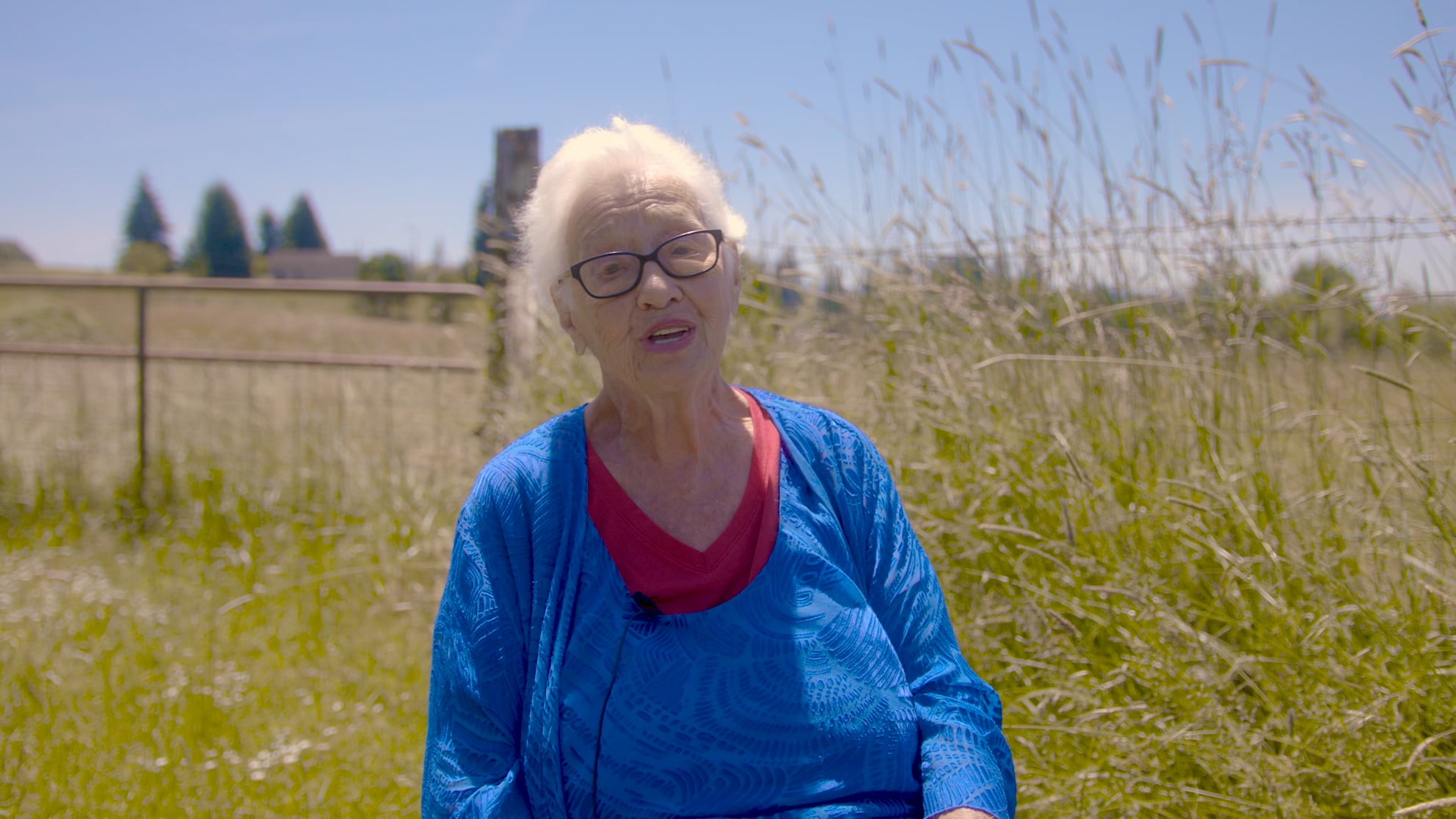 Watch Q&A with Naomi Feil (May 2023) Online | Vimeo On Demand on Vimeo