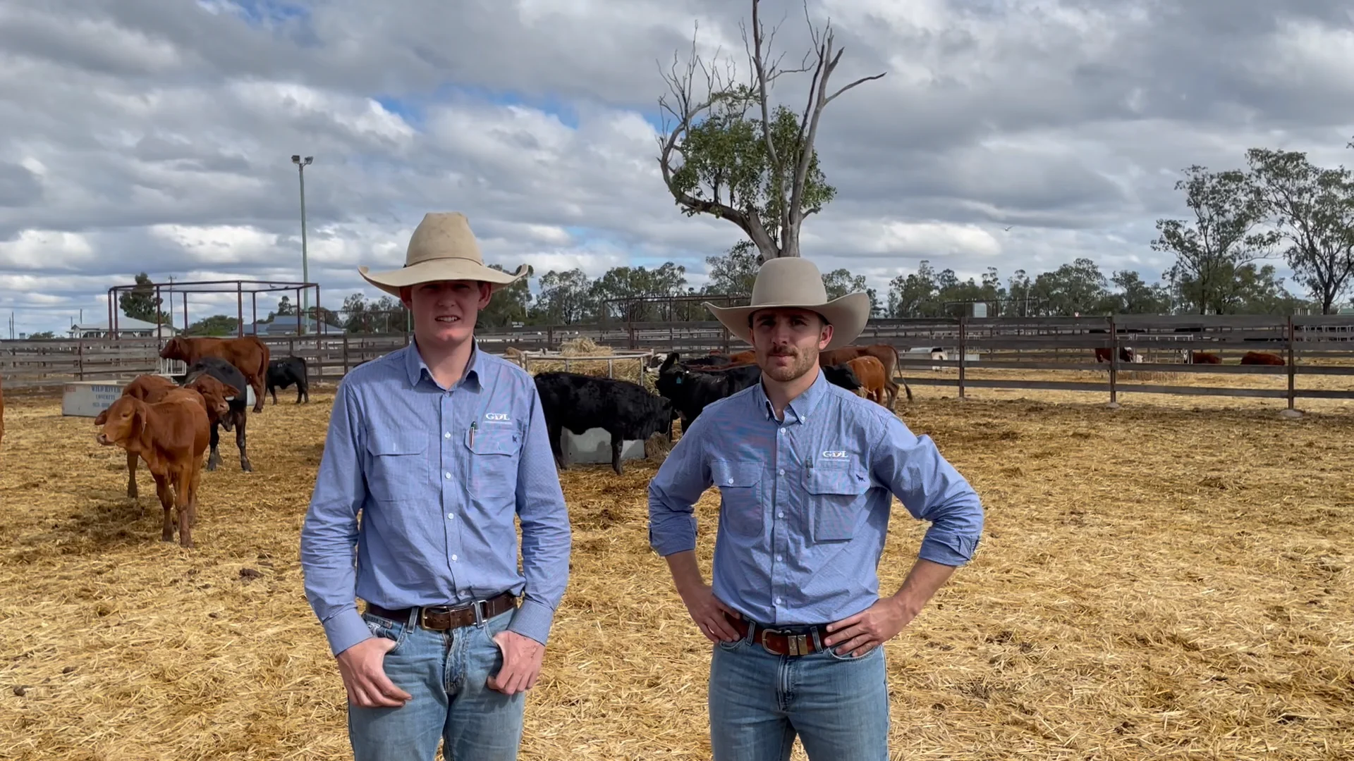 Dalby Market Report 5/07/23 on Vimeo
