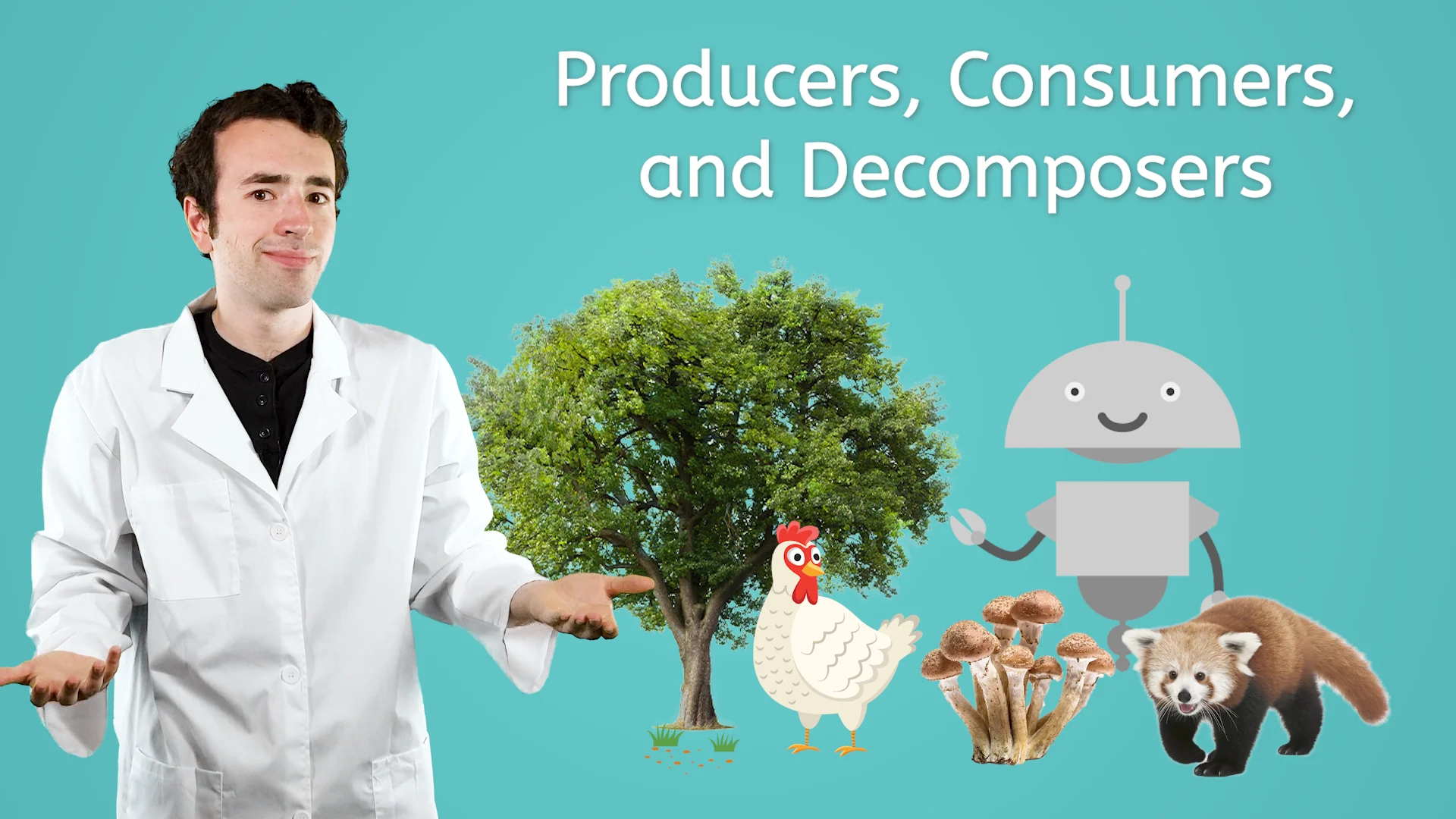 Producers, Consumers, and Decomposers