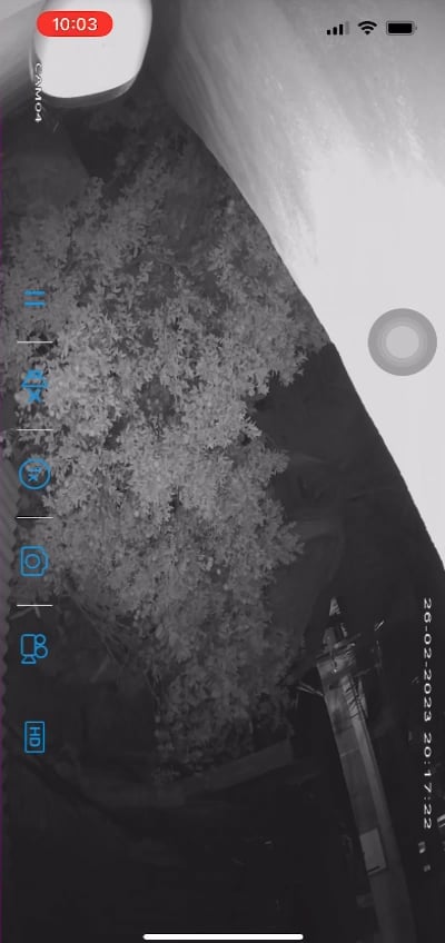 VID-20230705-WA0031 on Vimeo