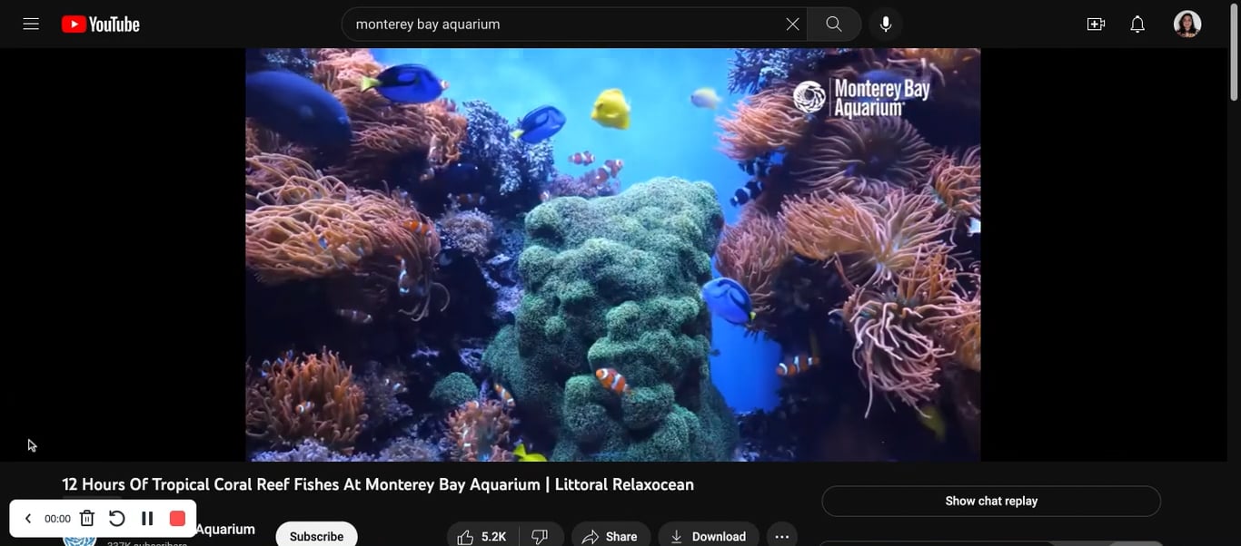 Interactive test video on Vimeo