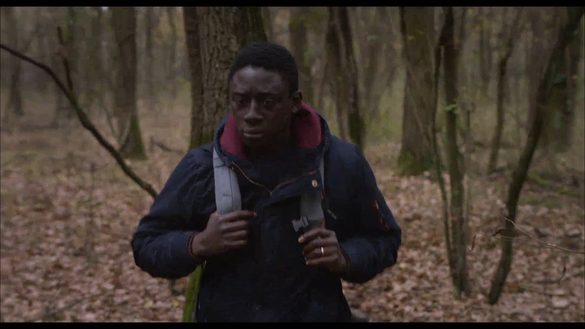 Watch ArtMattanFilms Presents: As Far As I Can Walk Online | Vimeo On ...
