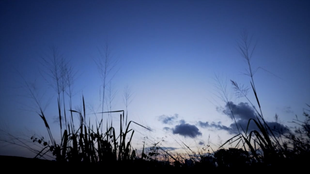 Soar film by Sze-Wei Chan (c) 2022 SINGAPORE on Vimeo