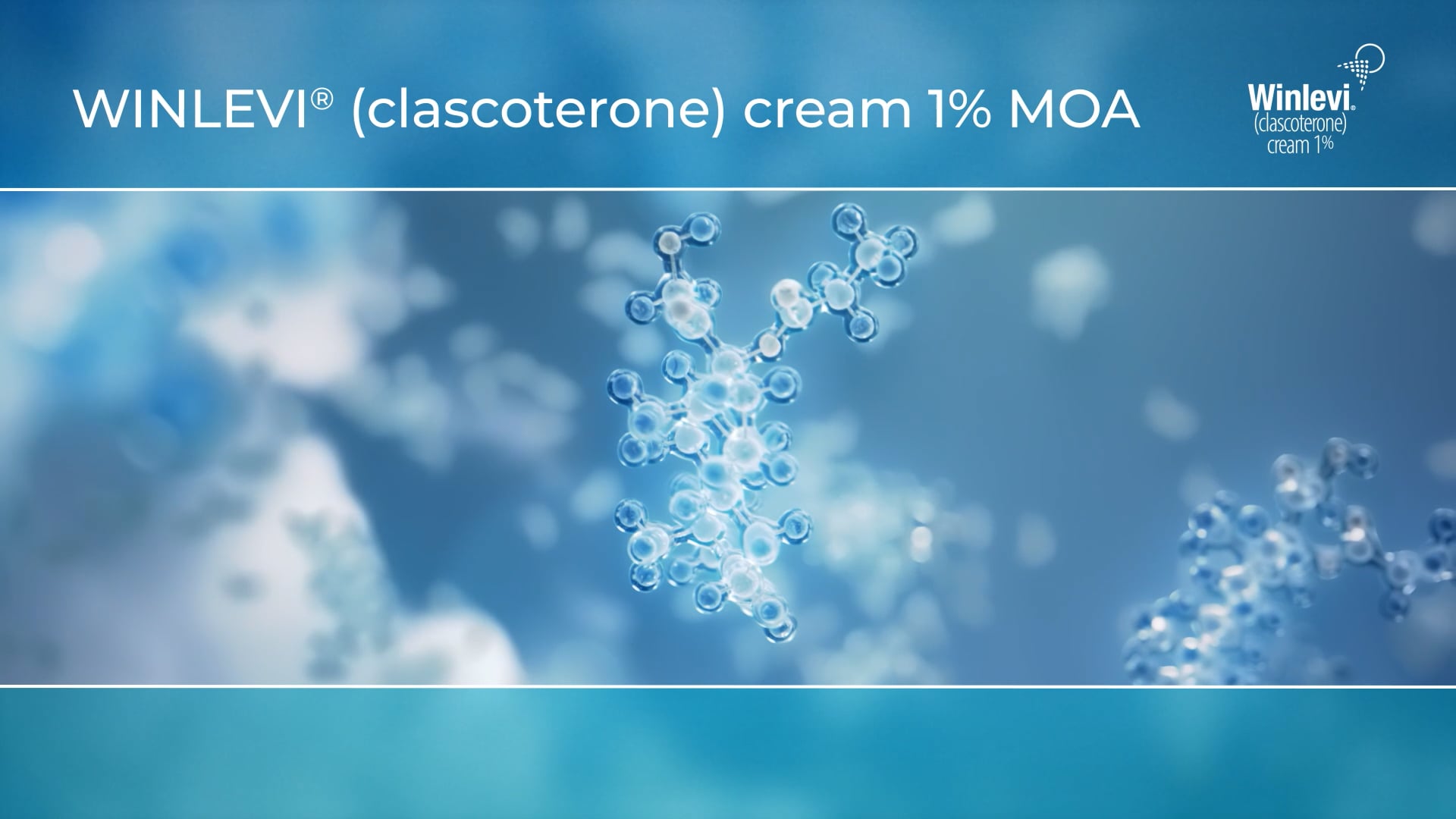 How WINLEVI® (clascoterone) cream 1% Works