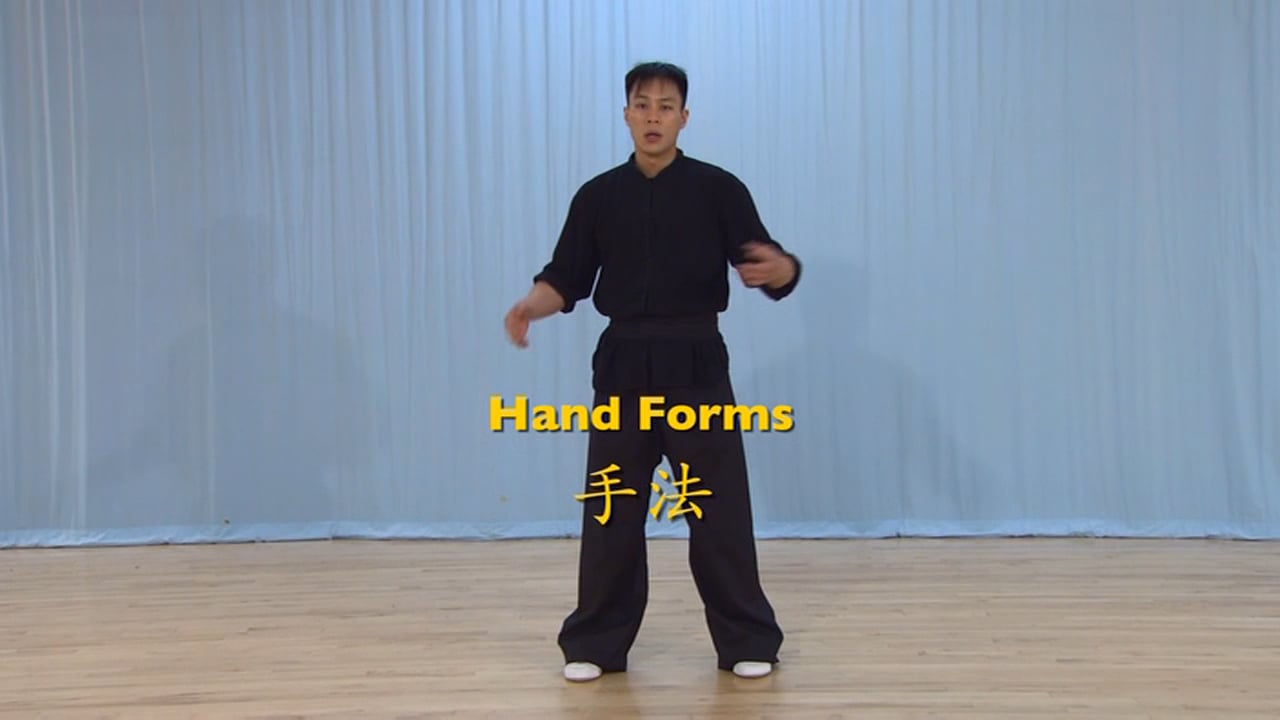 05 Hand Forms Si Lu Cha Quan on Vimeo