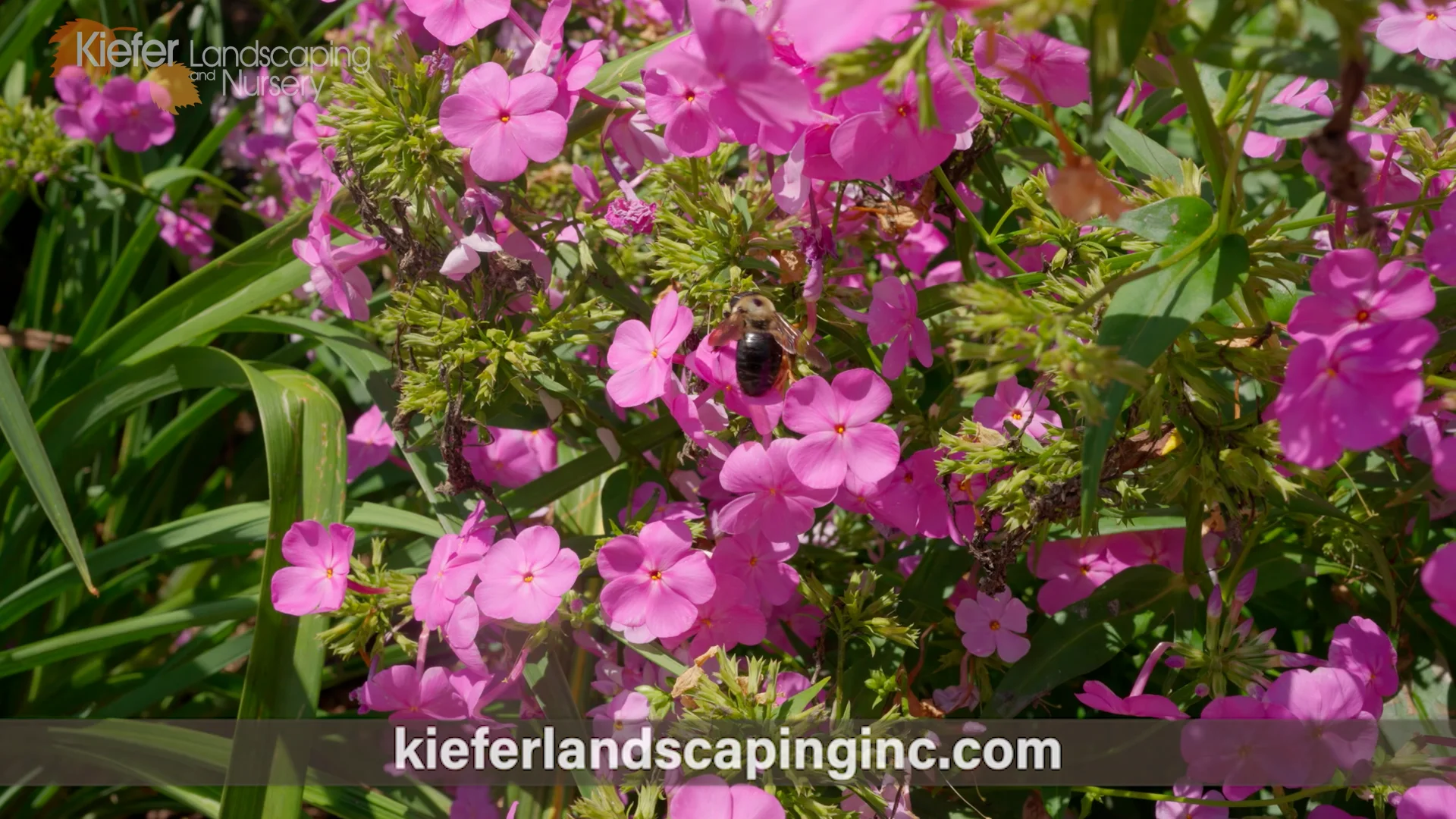 Kiefer July Ad 30 seconds on Vimeo