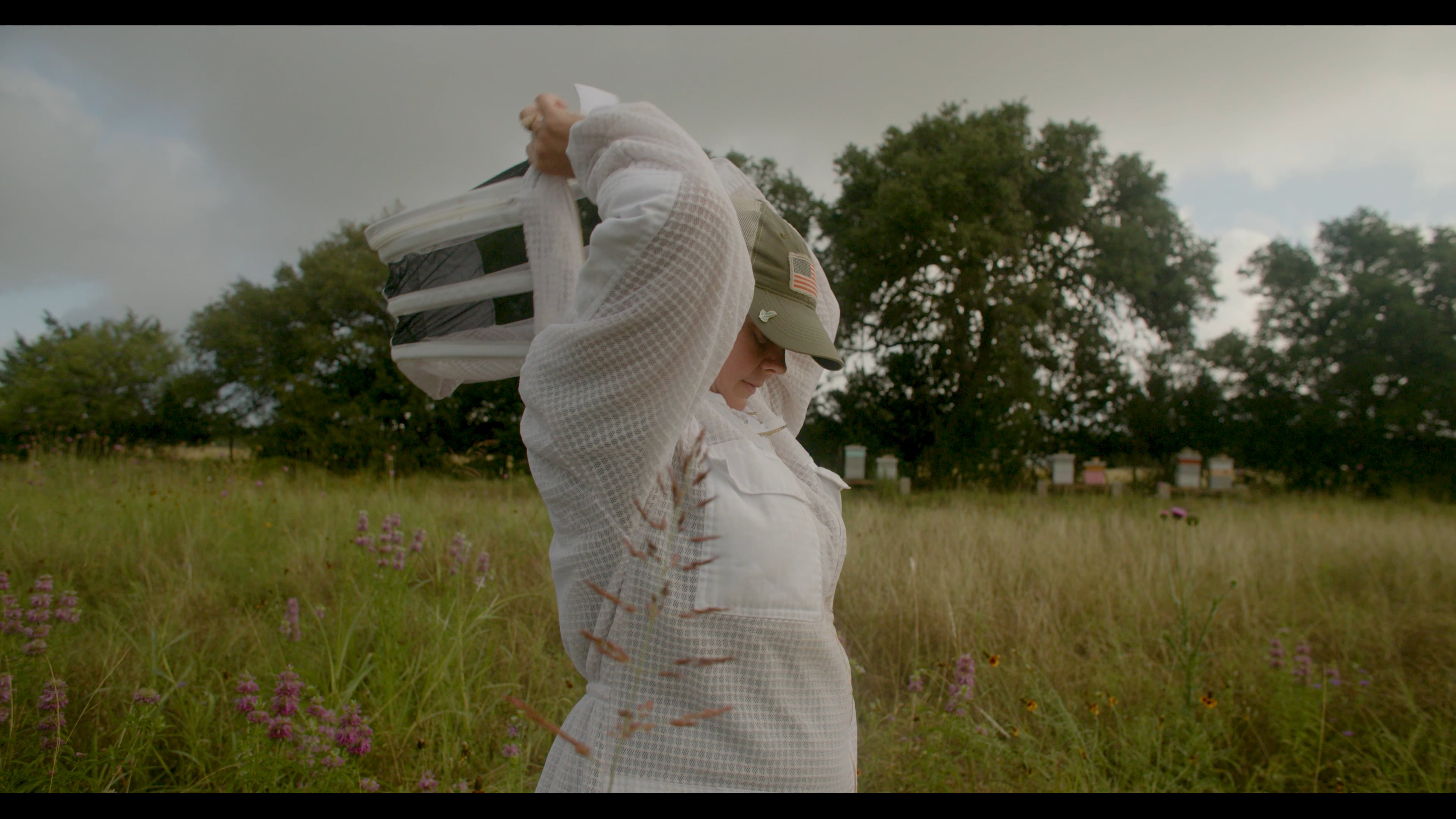 TLC_BEES_V4 on Vimeo