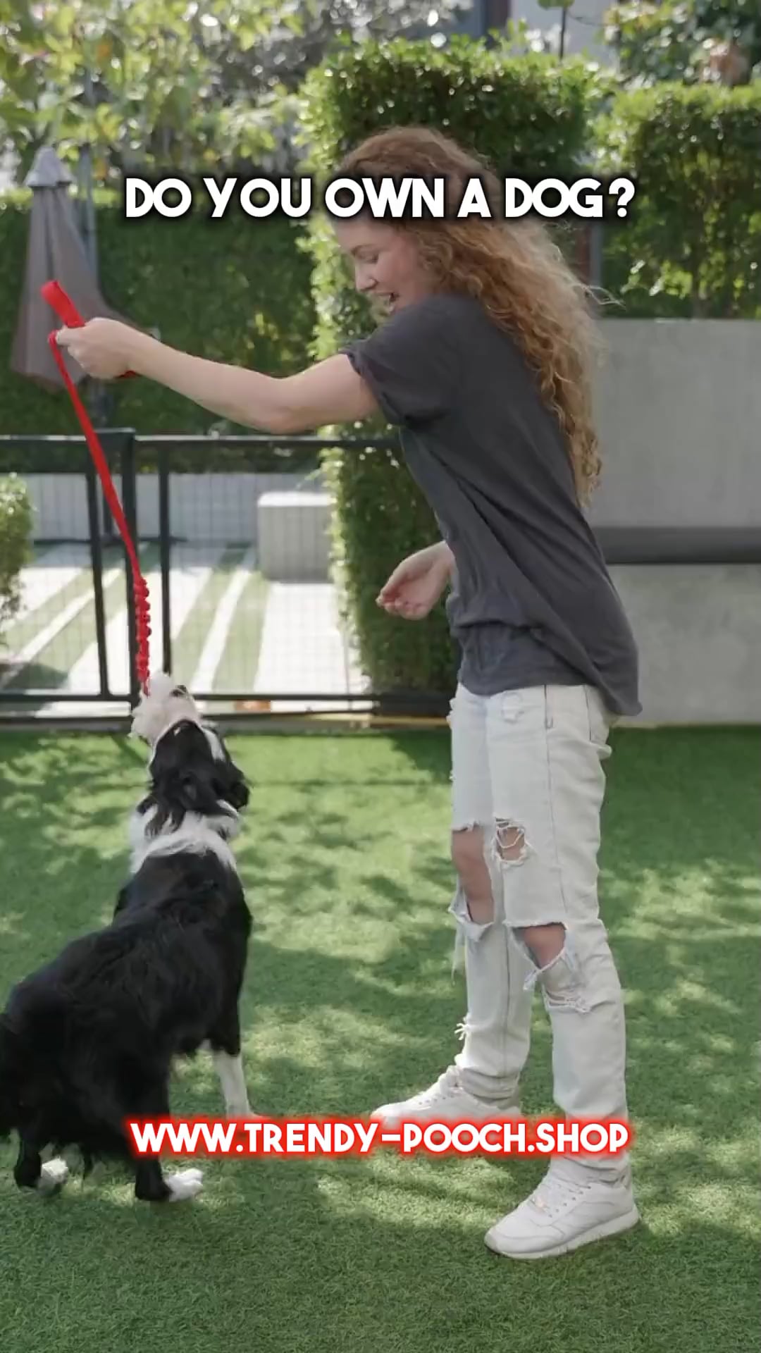 TRENDY POOCH 1 on Vimeo