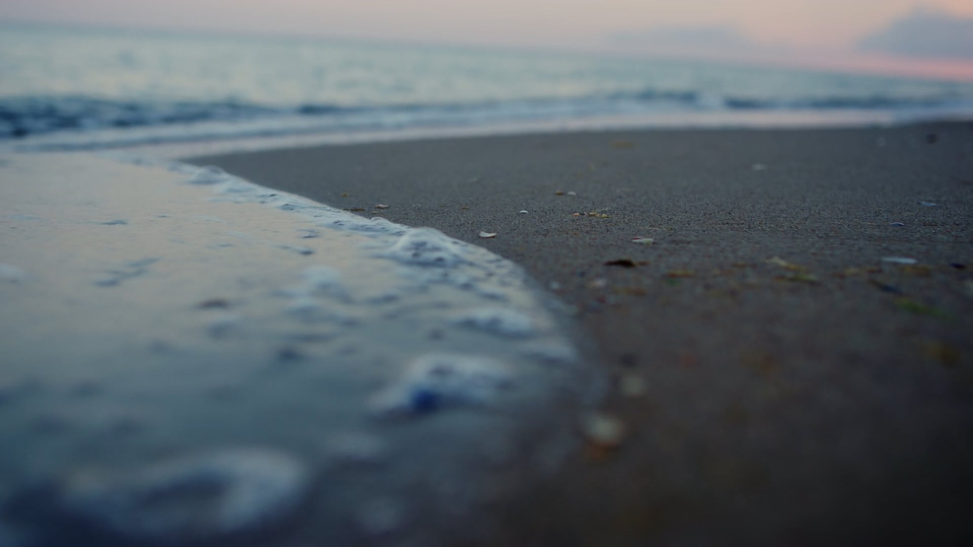 Tidal Life & Health Insurance