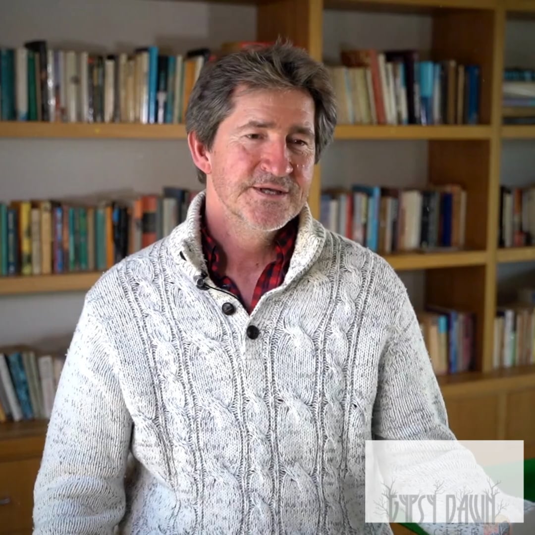 Gypsy Dawn - Dan Video Q1 on Vimeo