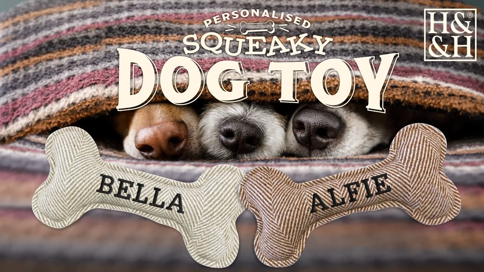 Squeaky Dog Toy Launch Video