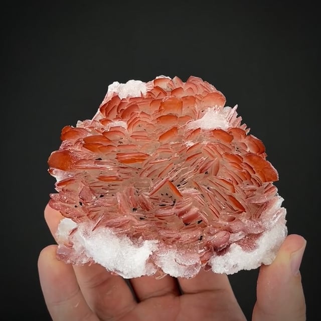 Celestine with Hematite | Hammam-Zriba Mine, Zriba-Village, Zaghouan ...