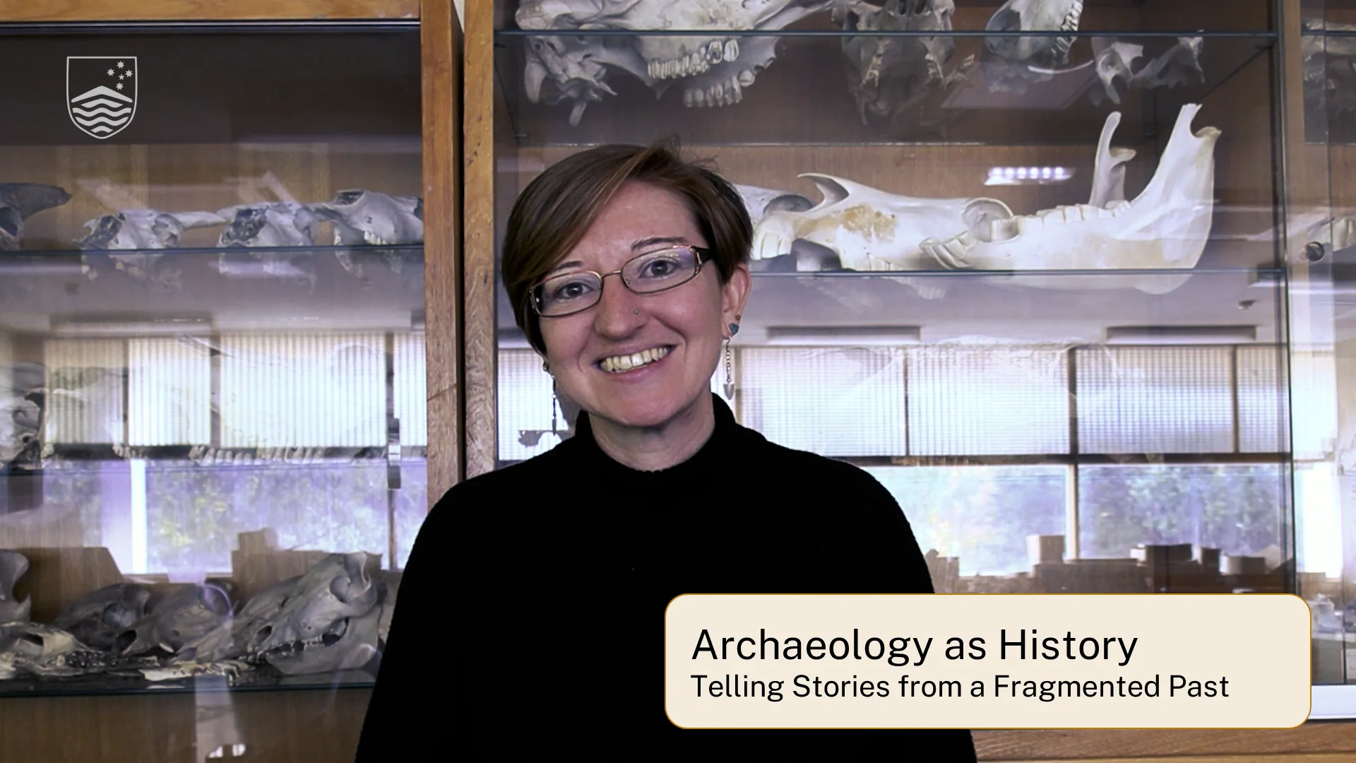 Elements in Historical Theory and Practice: Archaeology as History ...