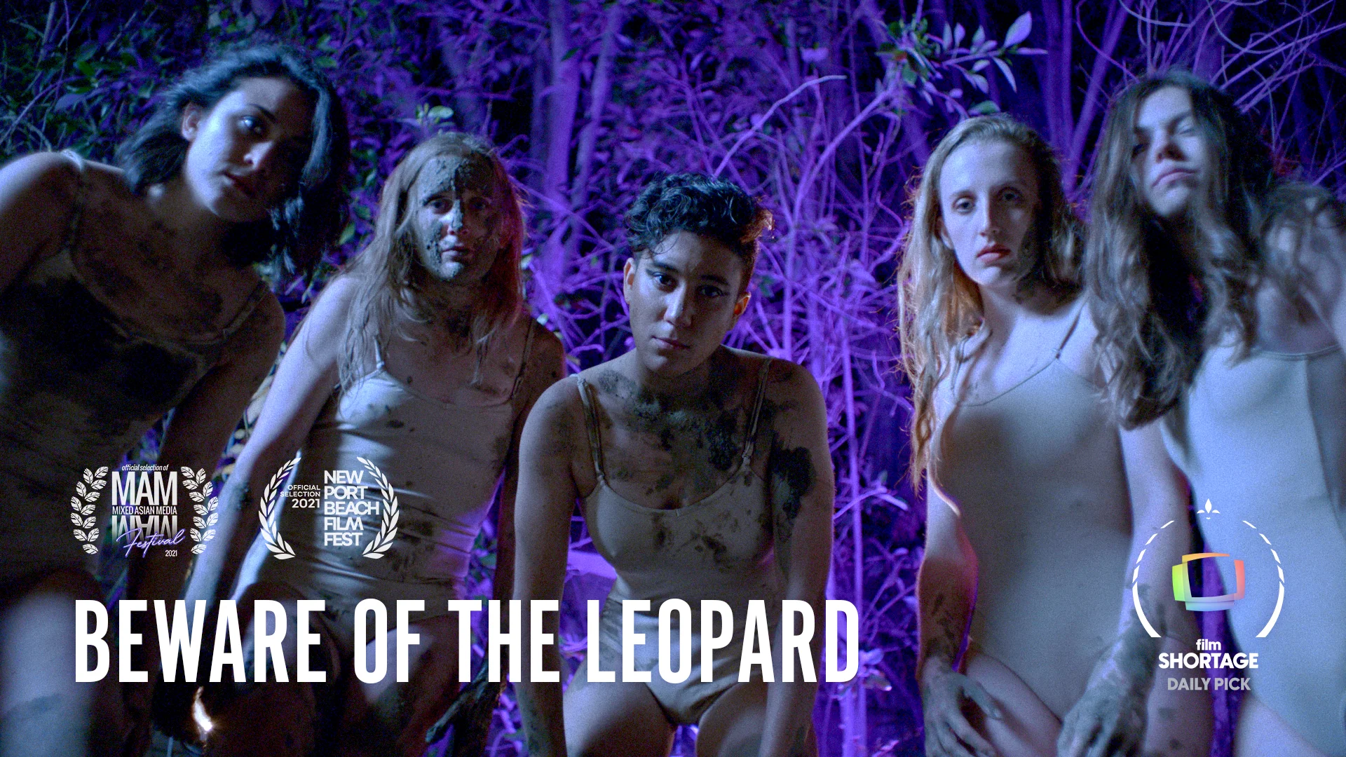 Beware of the Leopard