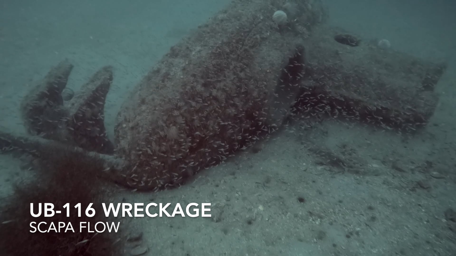 UB-116: Scapa Flow on Vimeo