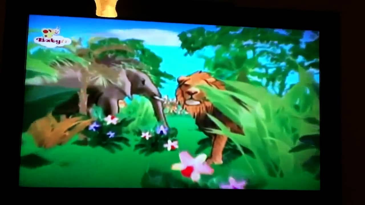 Ameizinwel 14 on Vimeo